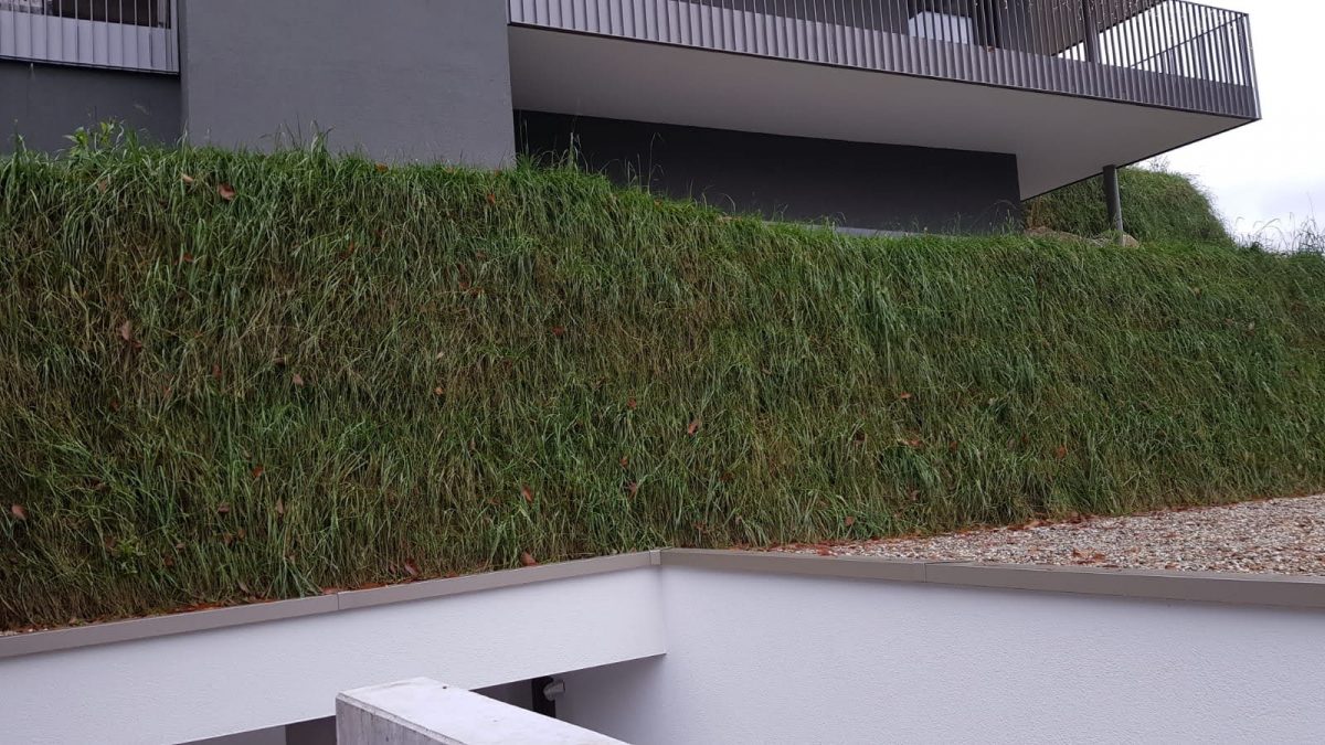 Stolz Hangbefestigung - Hangbefestigung - Hangsicherung - Geo Gitter ...